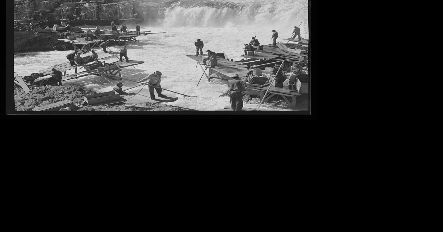 US acknowledges Northwest dams have devastated the region's Native ...