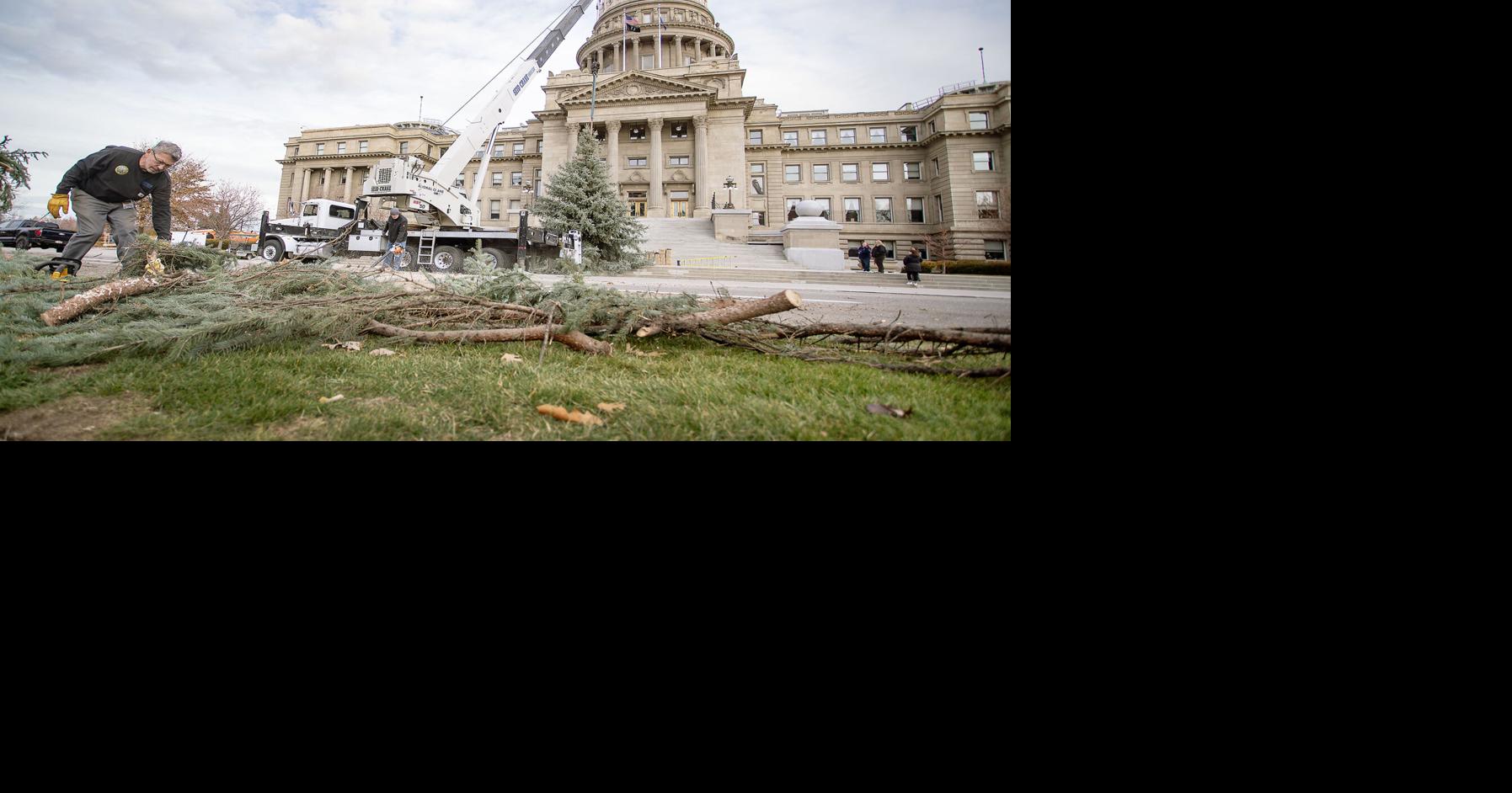 Idaho Statehouse tree placed, decorated for holiday season | Local News ...