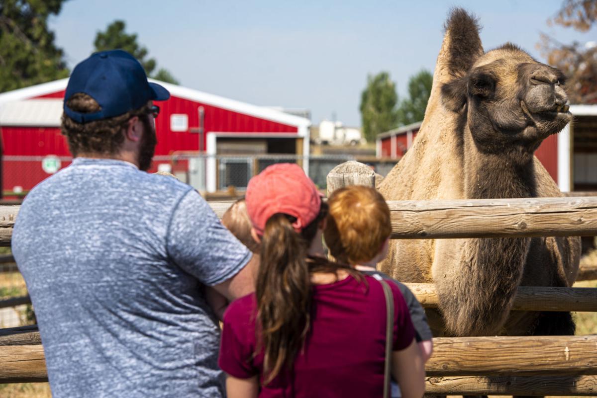 'Happy to see people returning': Zoo Boise, Babby Farms reopen with ...