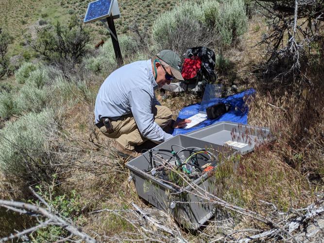 Backcountry seismic activity sends scientists out in the wild near ...