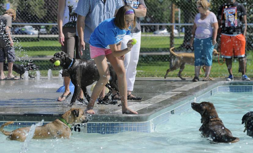 Pooch Pool Party | Idaho Press-Tribune Multimedia Gallery | idahopress.com