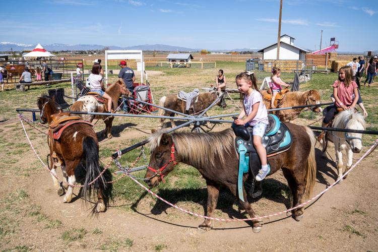 Family farm strives to connect Idahoans to their roots | Local News ...