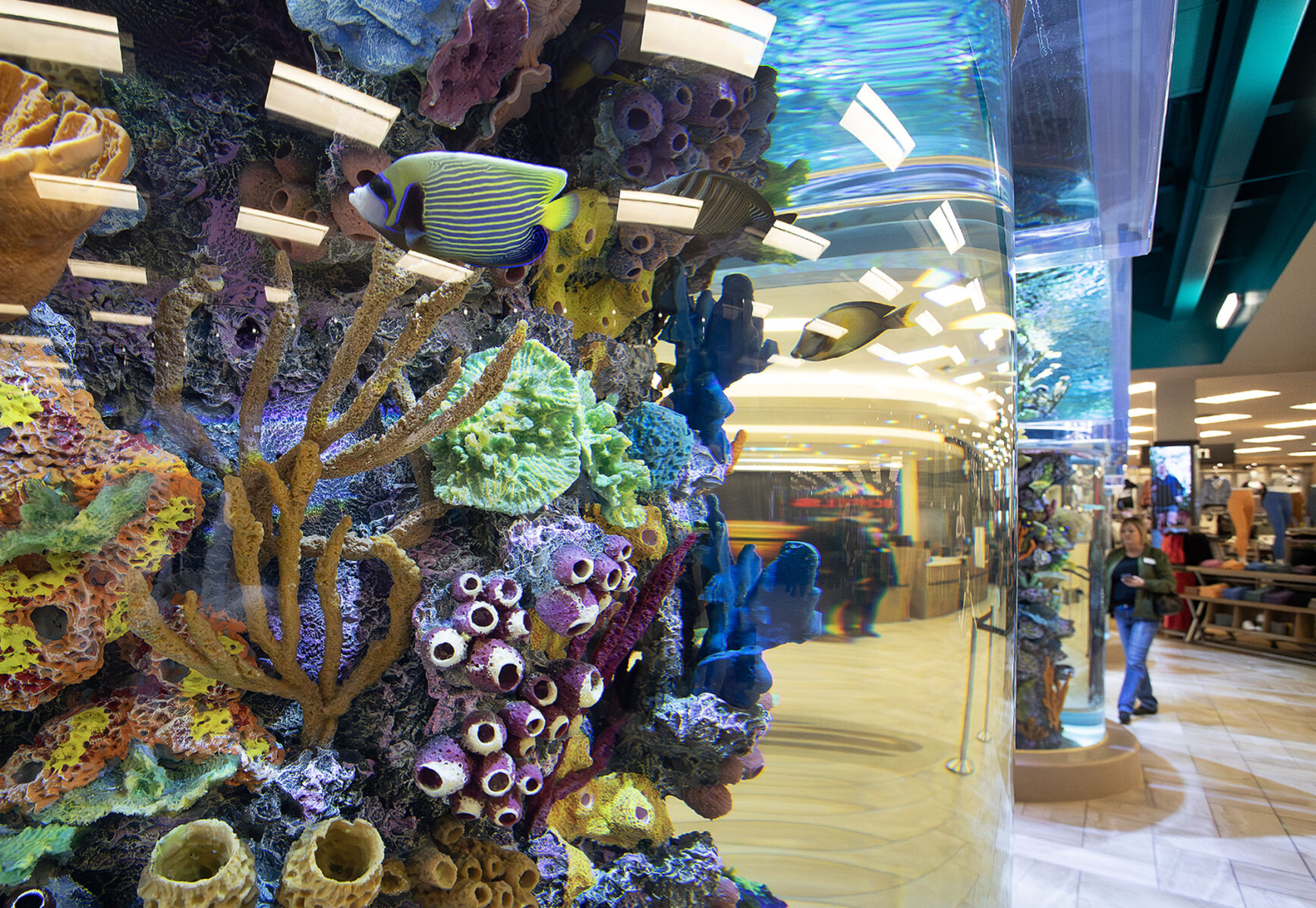 Scheels opening brings hundreds of jobs to Meridian | Local News ...