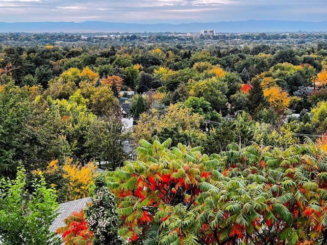 Down and Dirty: The colors of fall | Community Columns | idahopress.com