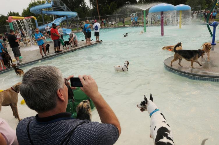 Pooch Pool Party | Photo Gallery | idahopress.com