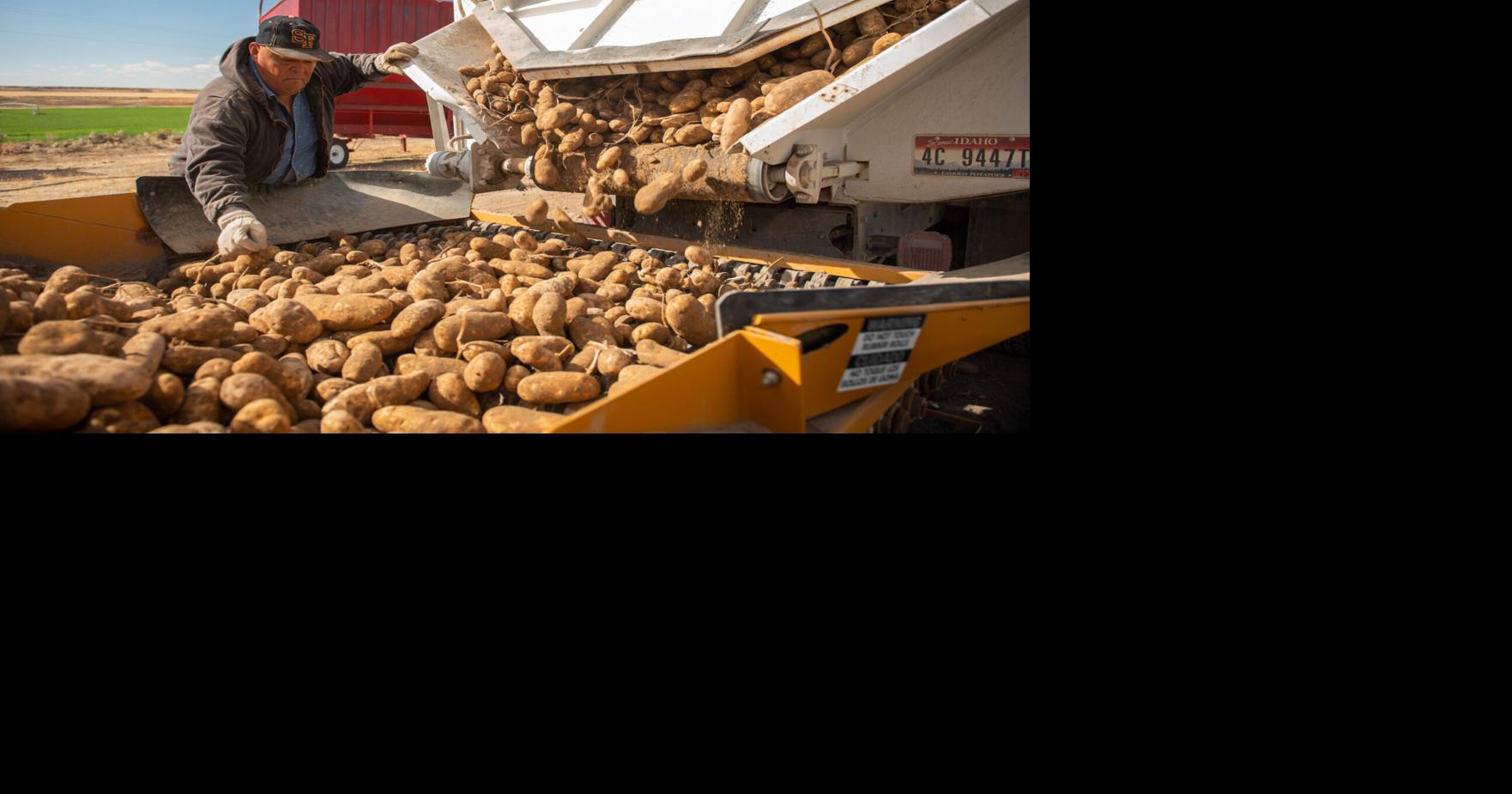 Idaho farmers are hoping Congress can get updated farm bill across ...