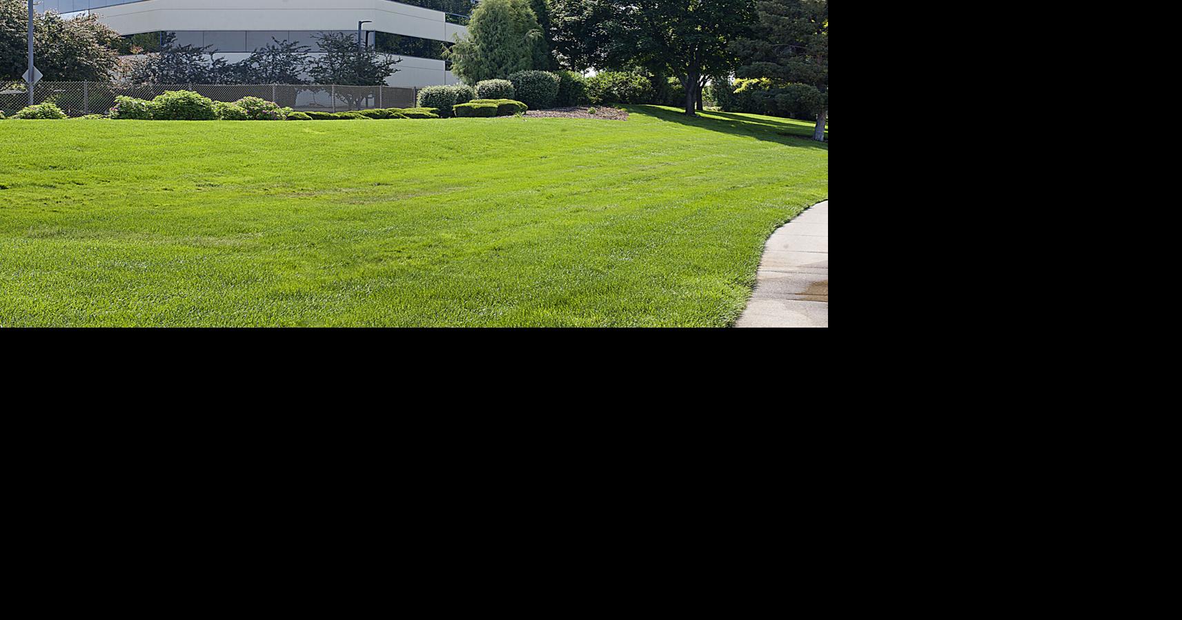 US will provide $6.1 billion to Micron Technology for chip plants in ...