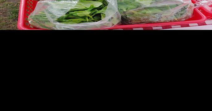 Fall brings more to Emmett Farmer's Market than just cooler temps ...