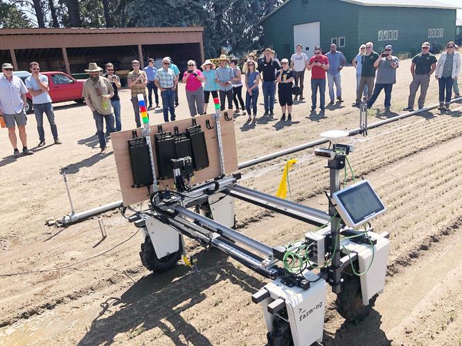 U of I, USDA demo robotic weeding system to improve national reforestation | Local News ...
