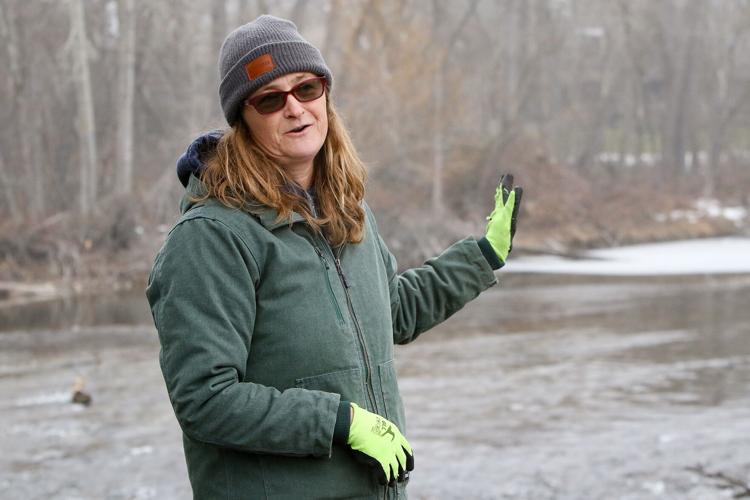 Volunteer program protects some Boise River trees from browsing beavers ...