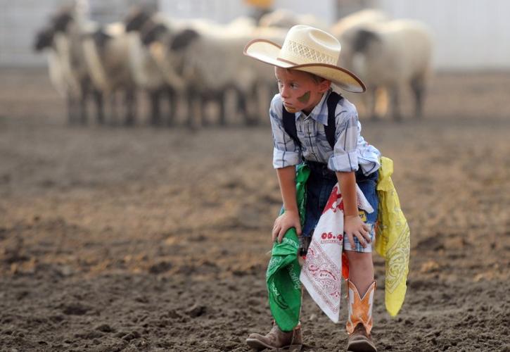 Owyhee County Rodeo | Sports | idahopress.com
