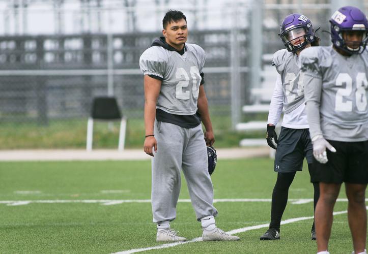 Yotes hope deep stable of running backs can help fill hole left by ...