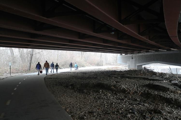 Volunteer program protects some Boise River trees from browsing beavers ...