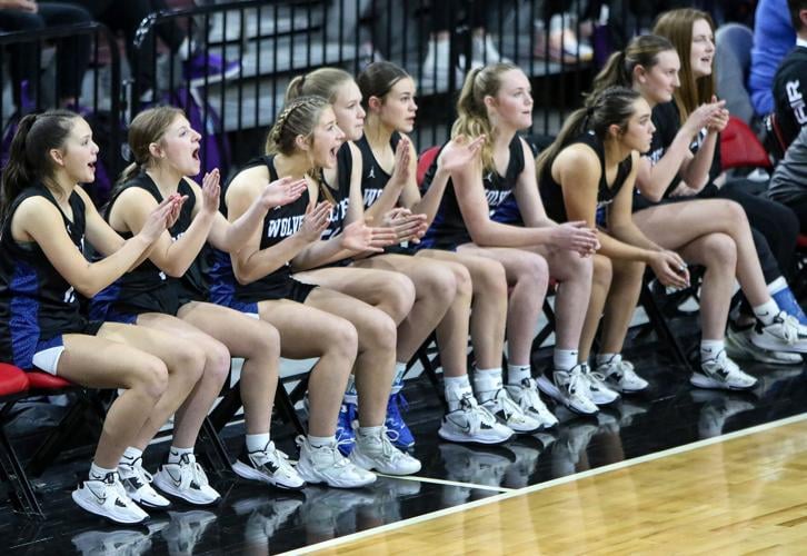 PHOTOS: High school girls basketball state tournaments tip off | Local ...