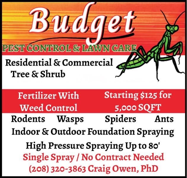 Budget Pest Control 208.320.3863 | Lawn & Landscape | idahostatejournal.com
