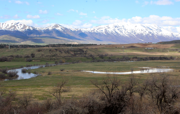 Shoshone to purchase sacred ancestral grounds | Local ...