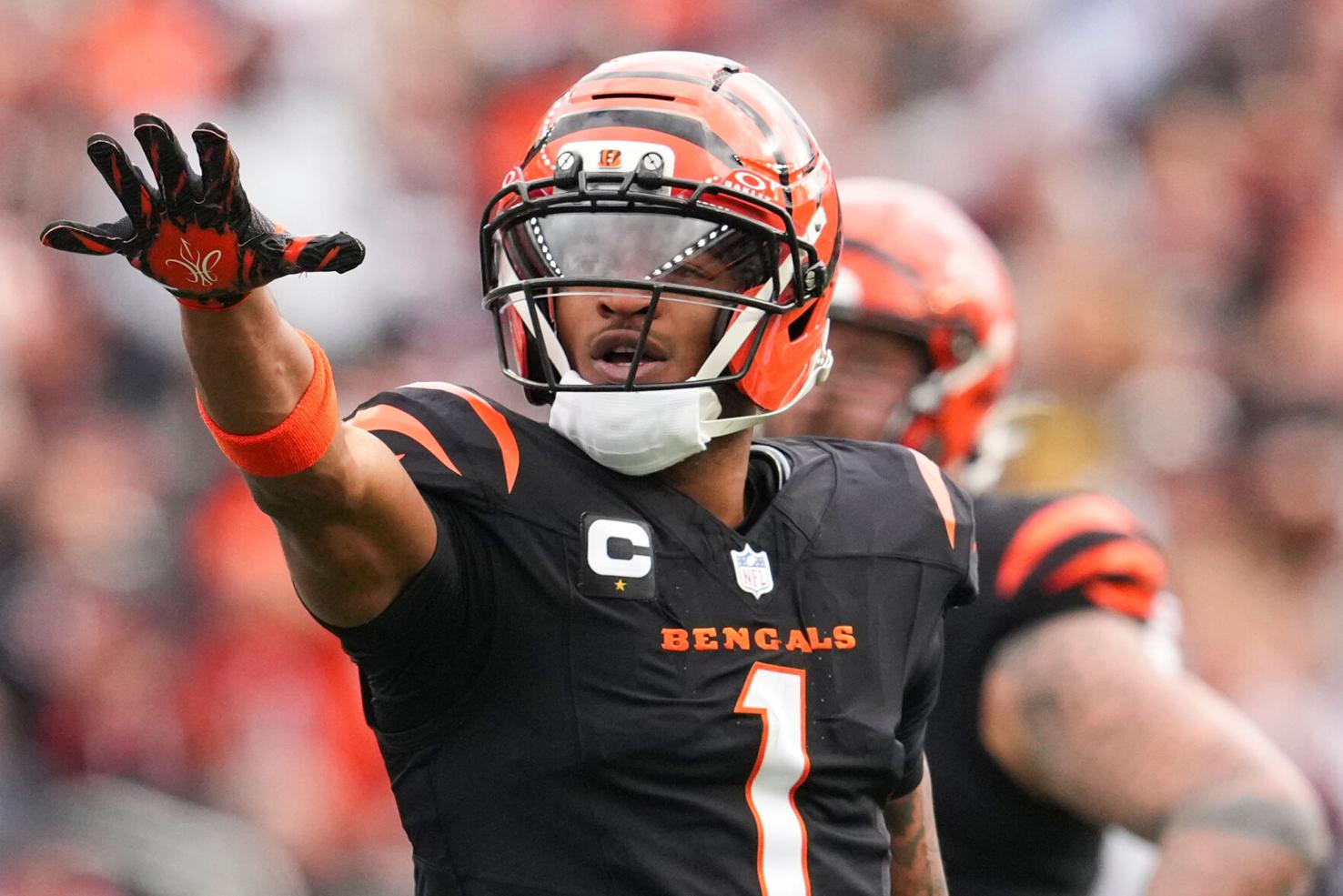 Cardinals Bengals Football | National | idahostatejournal.com