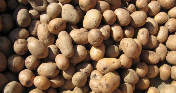 Nonpareil Farms company selling dehydrated potatoes business | Local ...