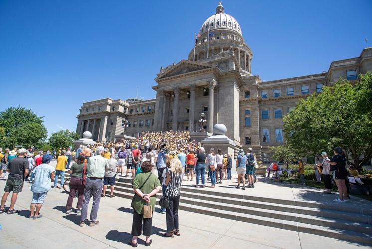 Idaho Open Primaries Initiative heads toward November ballot | Local ...