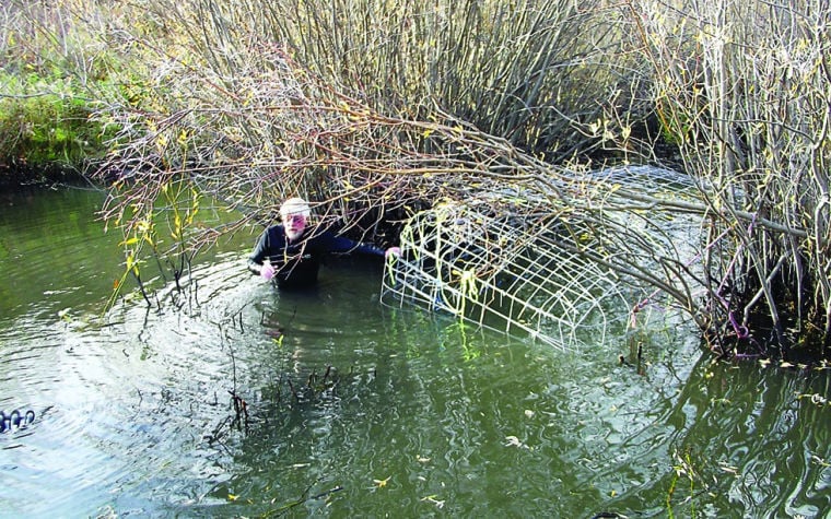 Pond leveler: Ecologically friendly device seeks to control flooding ...