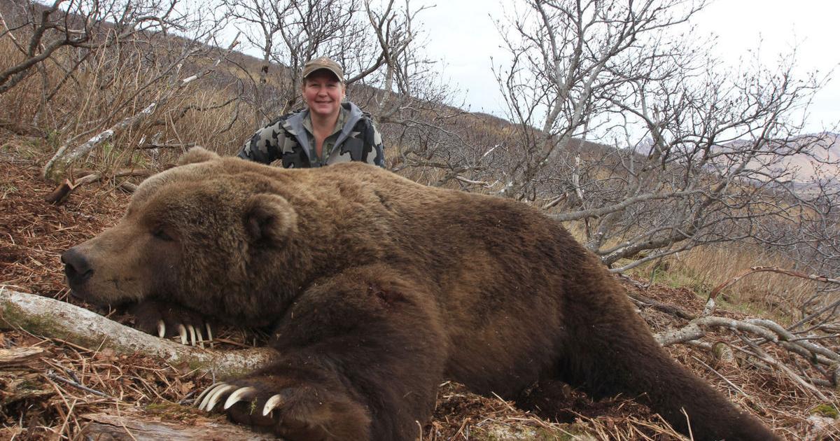 Shelly Sayer slays huge Alaskan brown bear | Power County Journal ...