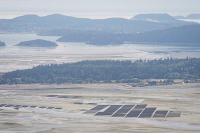Samish Overlook access road reopens | Northwest | idahostatejournal.com