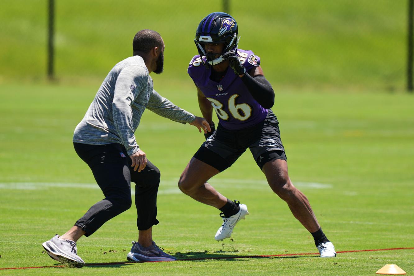 Ravens Football | National | idahostatejournal.com