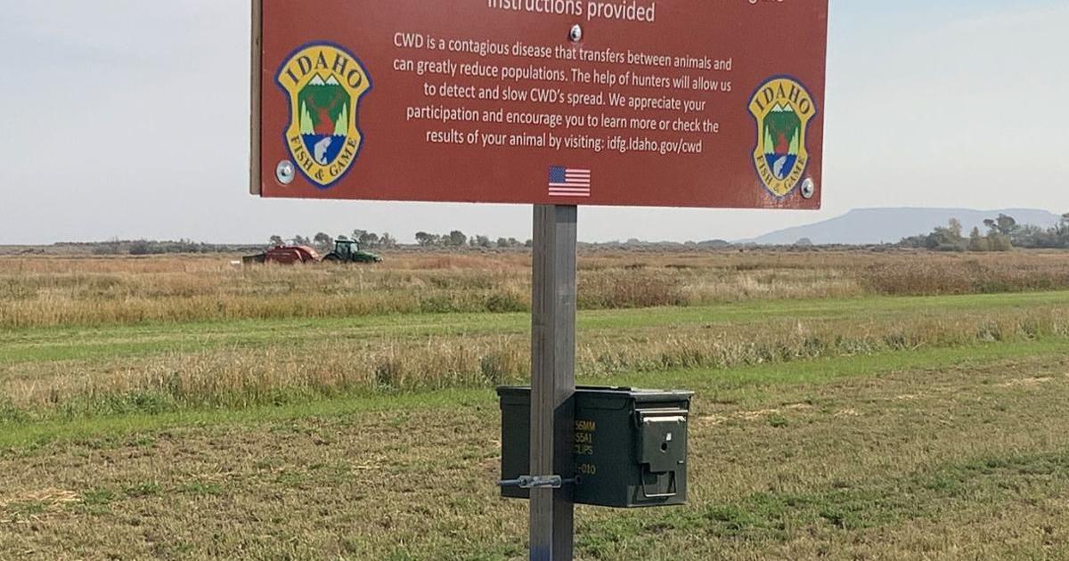 Chronic wasting disease detected in north Idaho, local officials ...