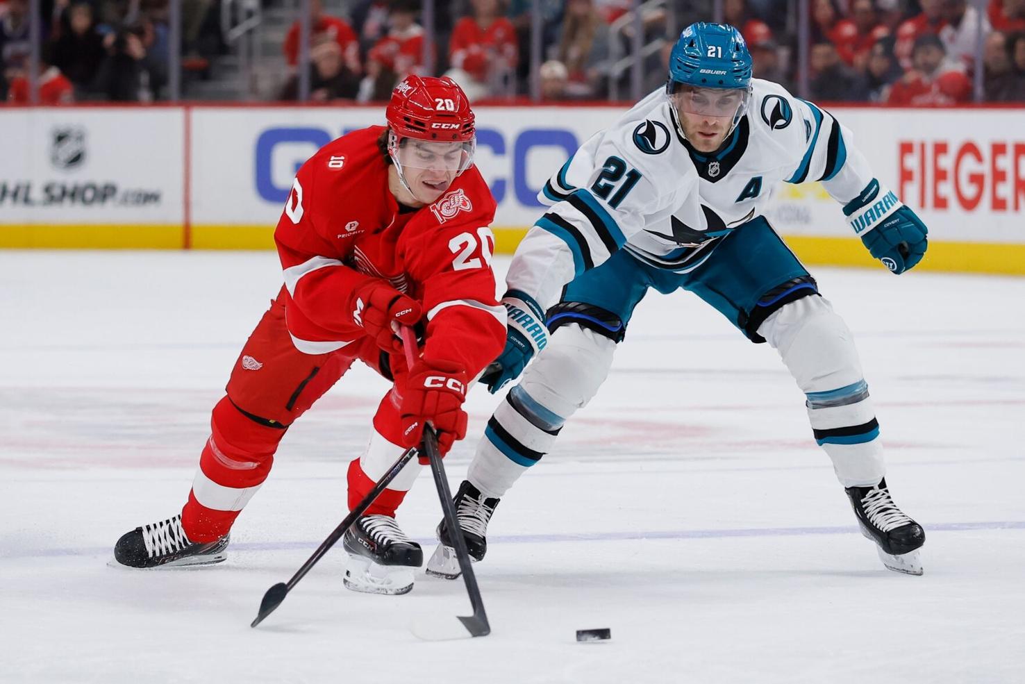 Sharks Red Wings Hockey | National | idahostatejournal.com