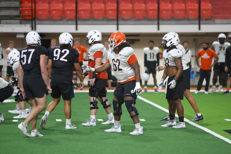 Experienced O-line to anchor young Idaho State squad | Sports ...
