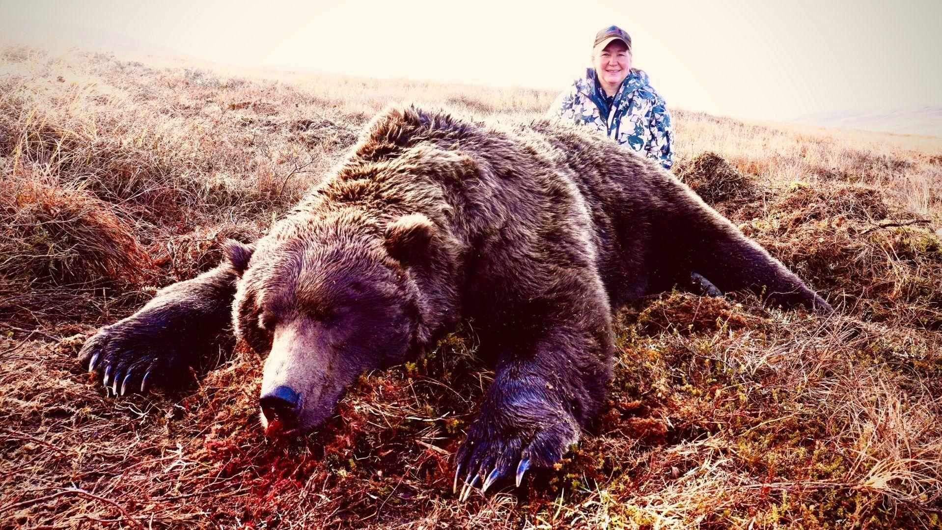 big grizzly bear attack
