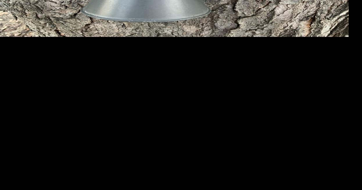 It’s varmint season! | Sport | idahostatejournal.com