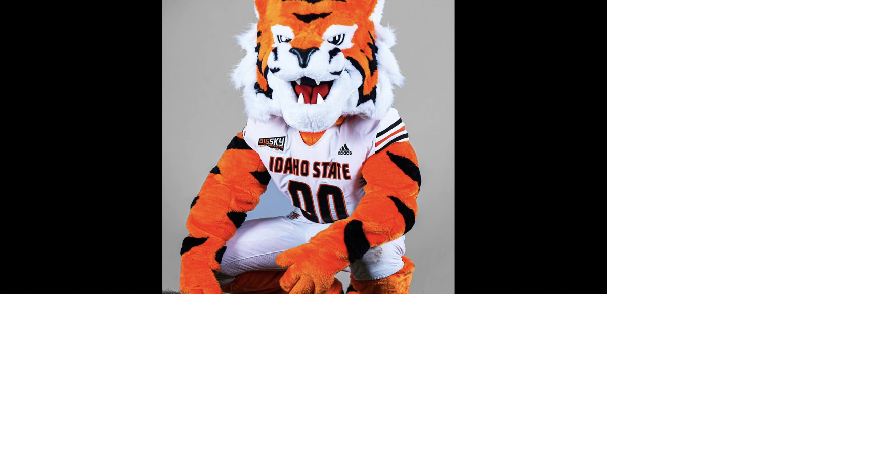Benny the Bengal receives new look in time for final home football game ...