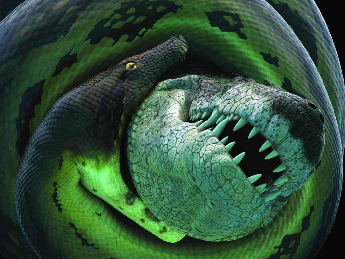 world's biggest snake ever found