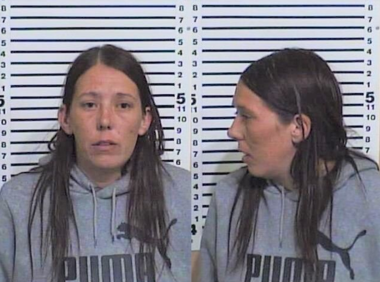 Local woman arrested after reportedly kidnapping child from Utah ...
