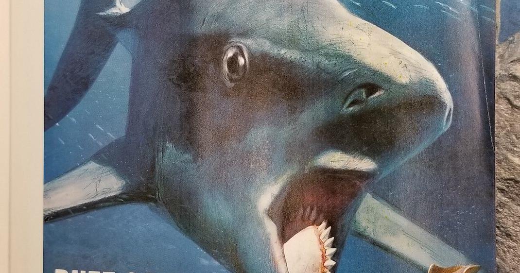 Idaho Museum of Natural History’s buzzsaw sharks featured in December ...