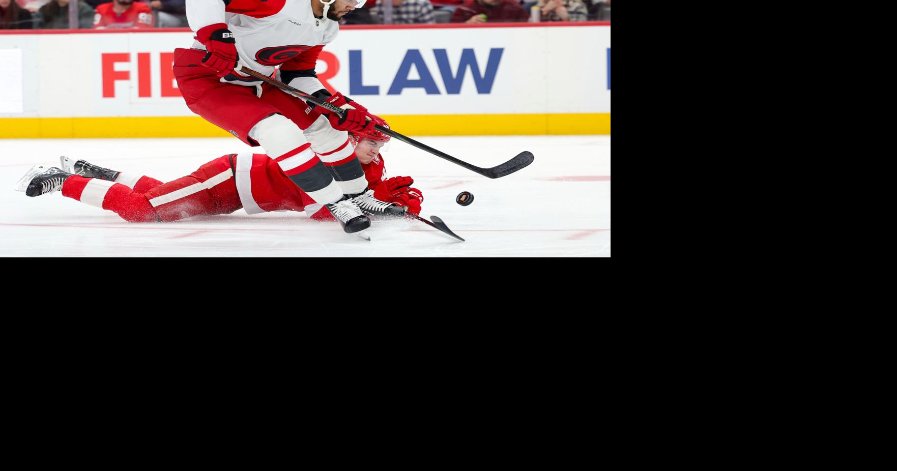 Hurricanes Red Wings Hockey | National | idahostatejournal.com