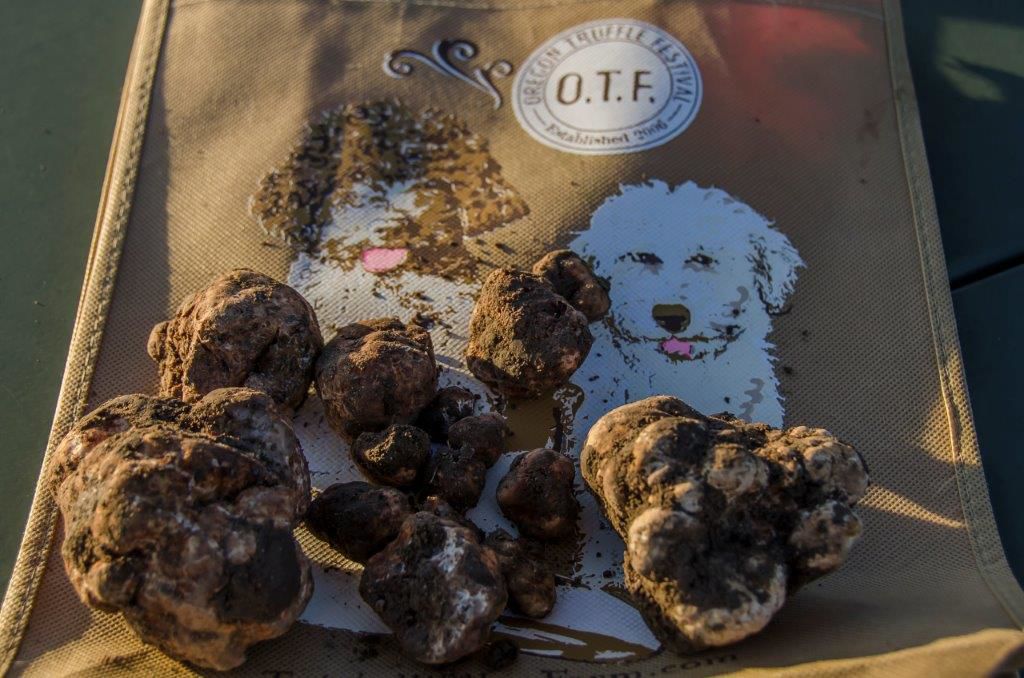 Idaho truffle growers form association | Local | idahostatejournal.com