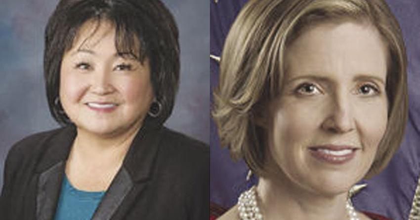 Political newcomer Julianne Young wins big upset against Rep. Julie ...
