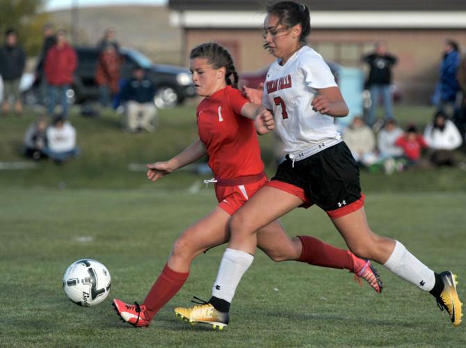 2017 All-Area Girls Soccer Teams | Preps | idahostatejournal.com