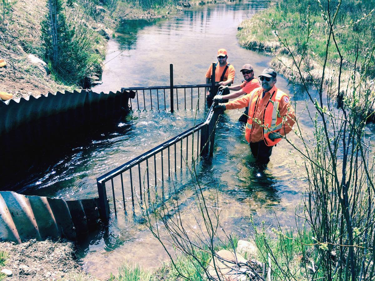 'Beaver stops' help road crews keep rodents at bay | Local ...