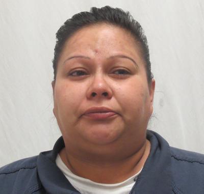 Police: Fort Hall woman charged with felony battery after pushing ...