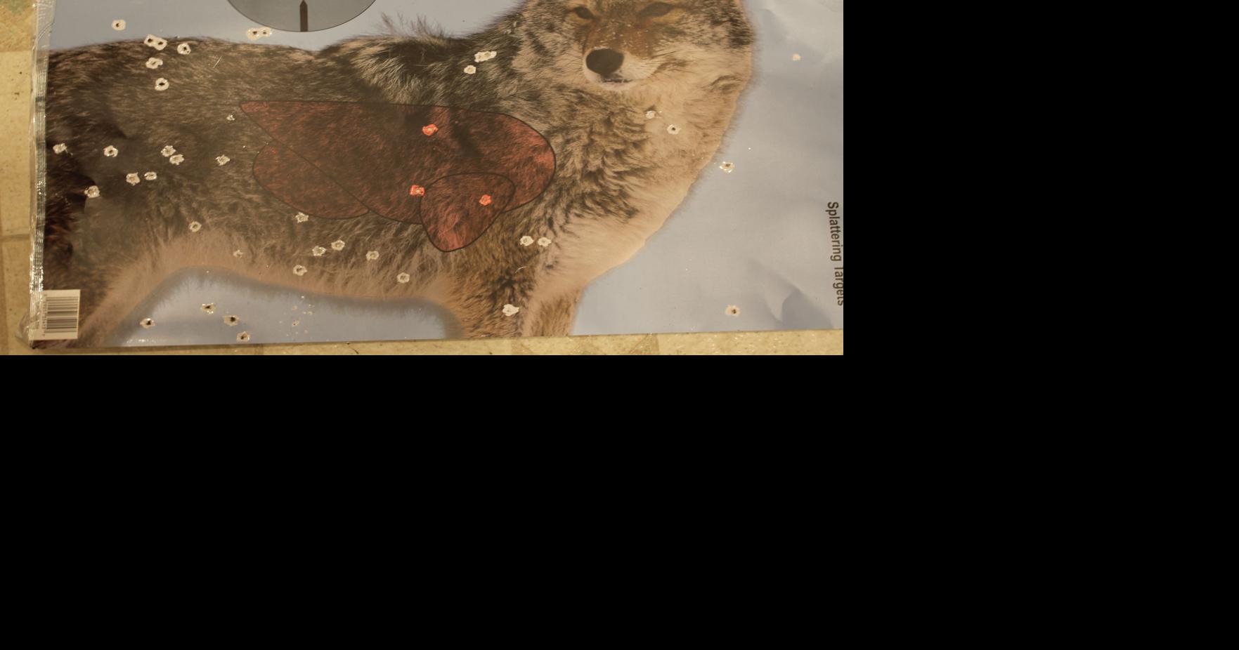 Using a shotgun for varmint hunting | | idahostatejournal.com