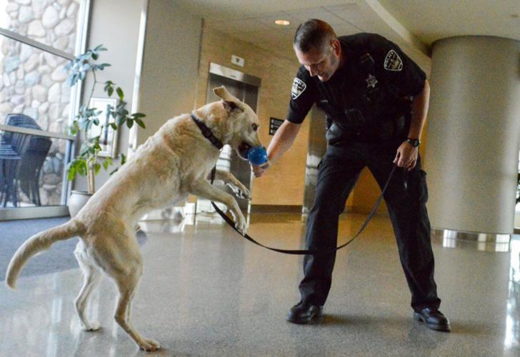 Idaho airport celebrates its working dog Lubo | Local ...