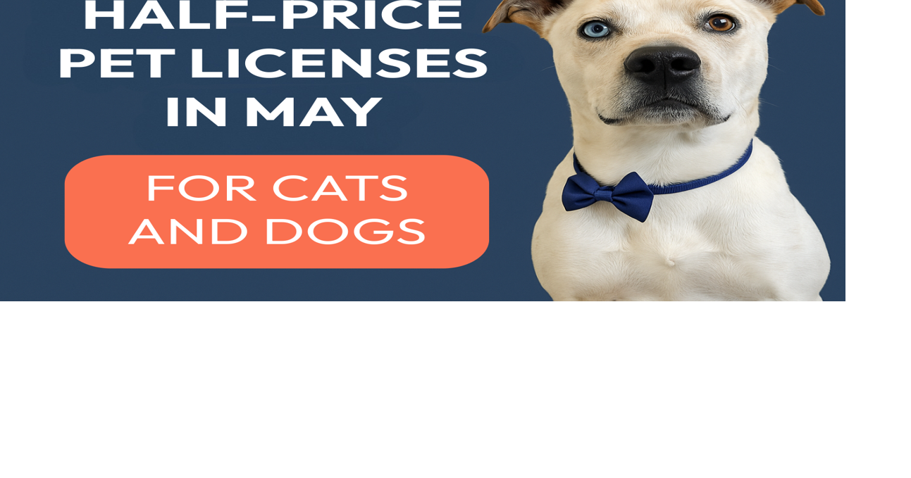 Half-priced dog and cat licenses from Pocatello Animal Services for the ...