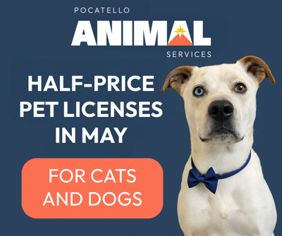 Half-priced dog and cat licenses from Pocatello Animal Services for the ...