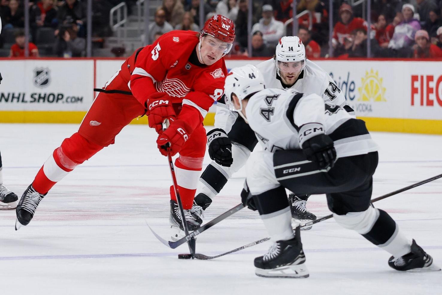 Kings Red Wings Hockey | National | idahostatejournal.com