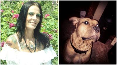 Dog missing from fatal wreck found, online fundraisers created for ...