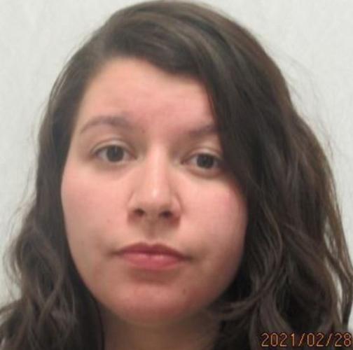 Two facing drug charges in Bannock County | Freeaccess ...