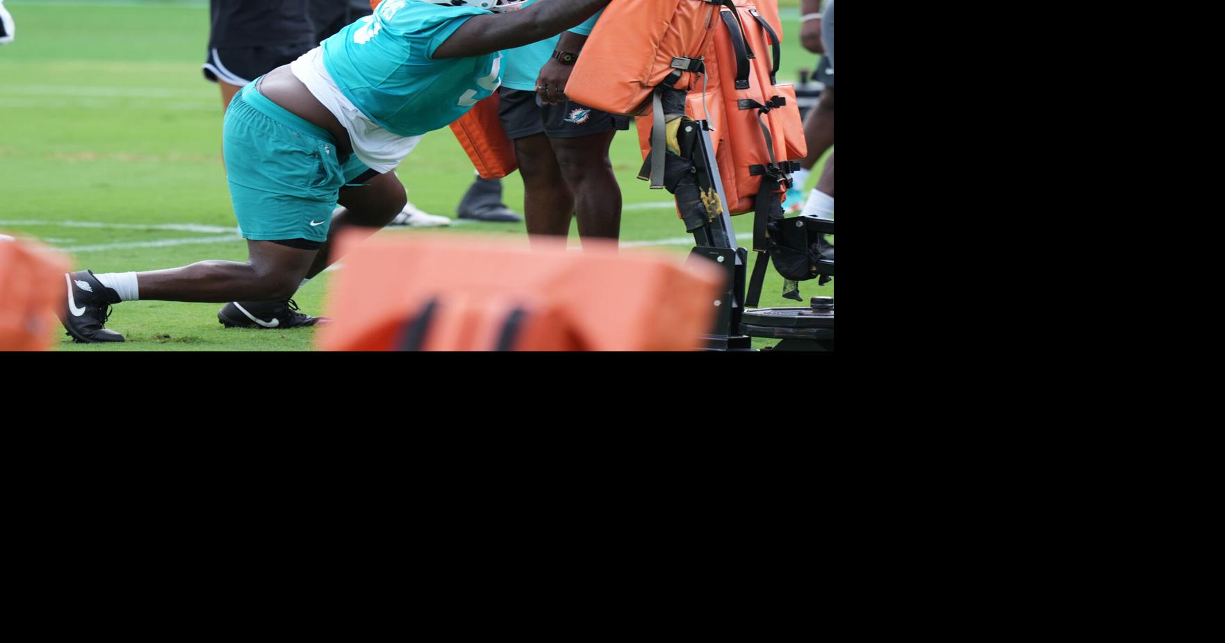 Dolphins Football | National | idahostatejournal.com